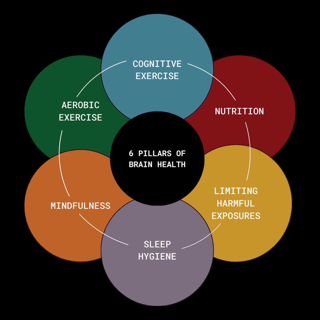 BRAIN PILLARS – brainchanges.org