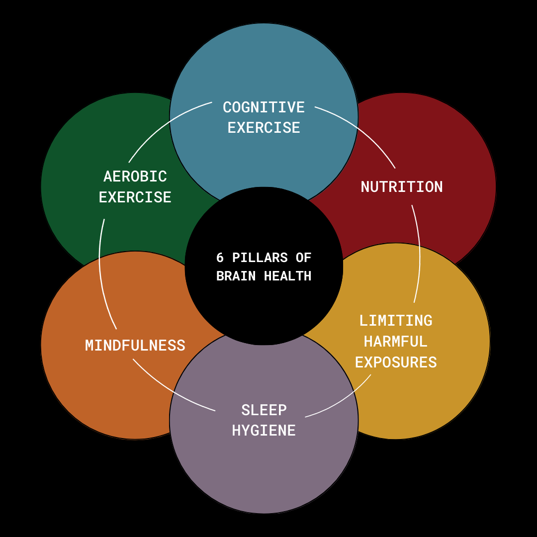 BRAIN PILLARS – brainchanges.org